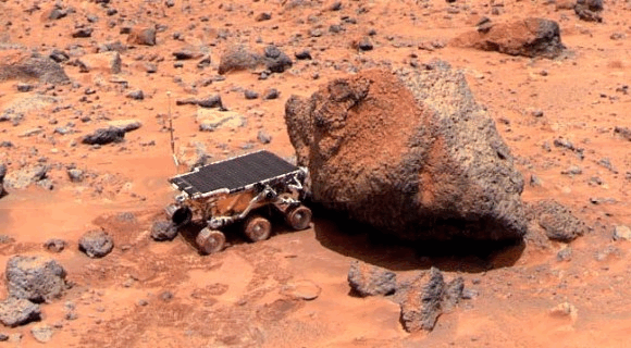 The First Bug on Mars